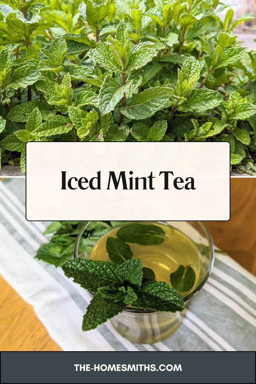 Simple and Fresh Iced Mint Tea - The Homesmiths